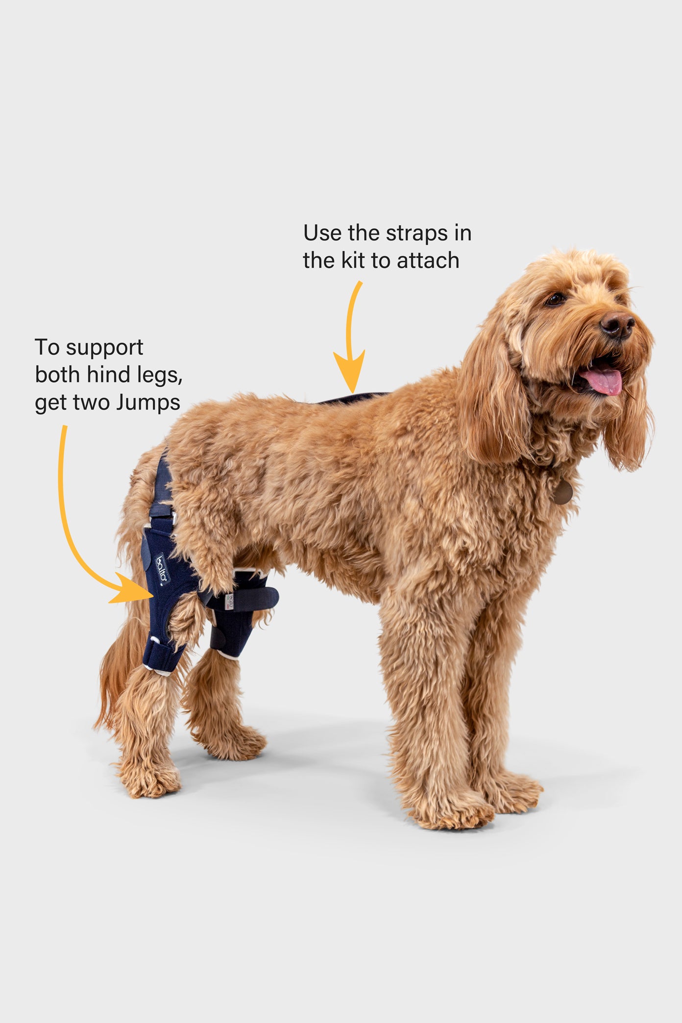 Canine Knee & CCL Brace – Balto® Canada