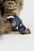 Balto® Splint Cat – Carpal/Metatarsal Laxity Splint for Felines – Balto ...